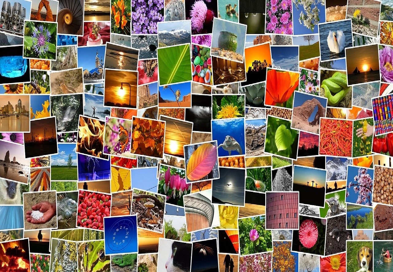 Die Top 10 KOSTENLOSEN Fotocollage-Apps für 2024 - CyberLink: Die beste ...
